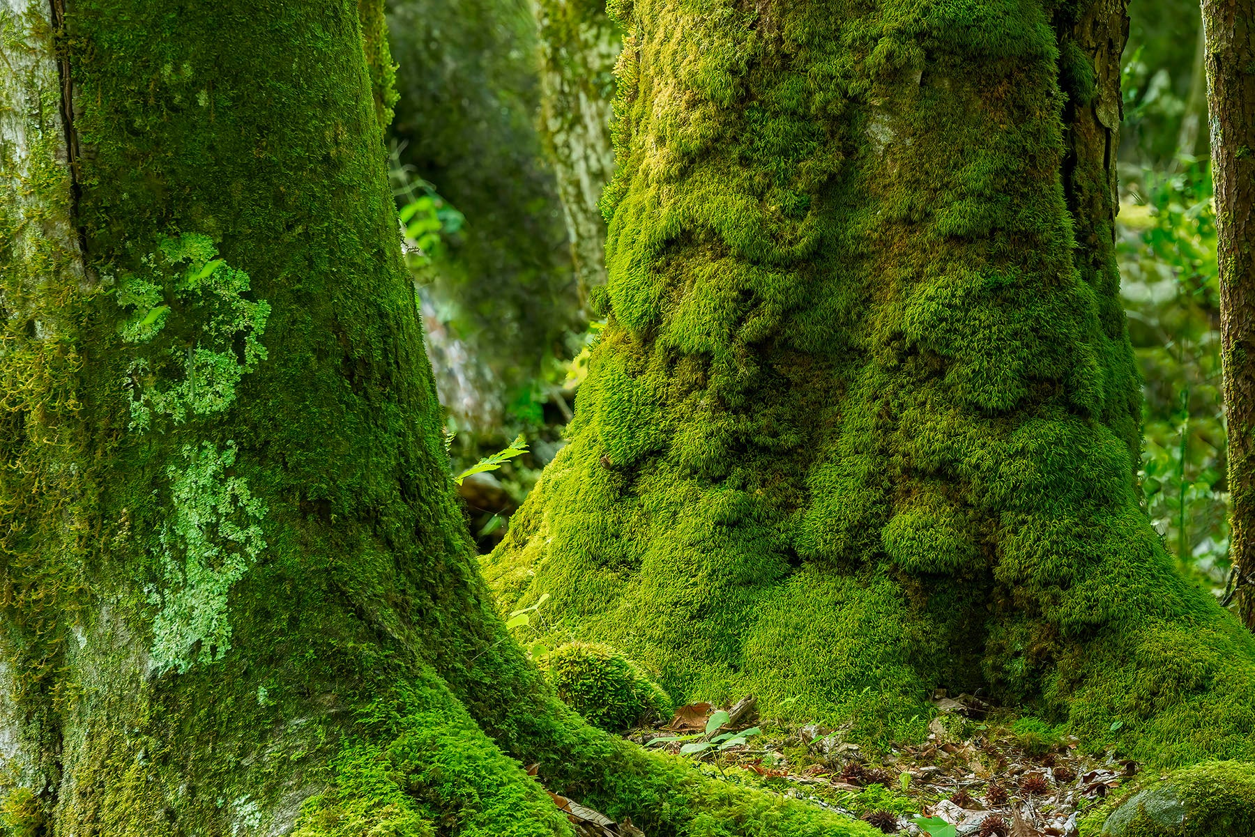 Landscapes - Ken Jenkins Photography